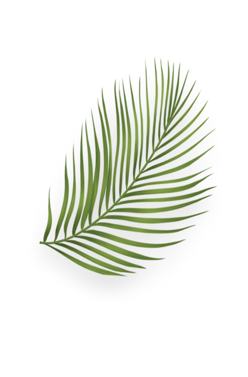 Scotty Bon's Grill | Authentic Caribbean Flavors & Good Vibes