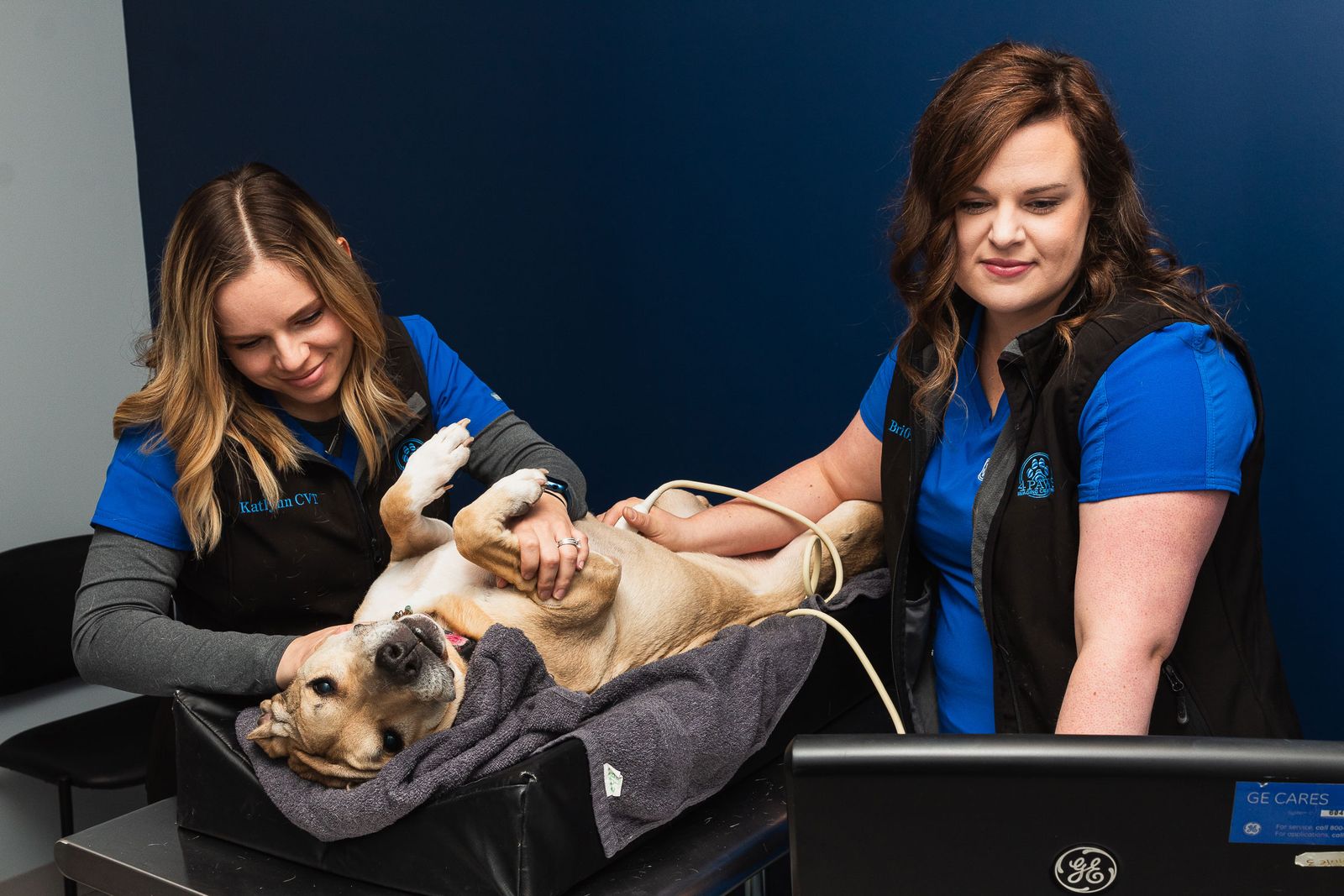 High-Quality Imaging Centers in Downers Grove, IL | 4 Paws Imaging Centers