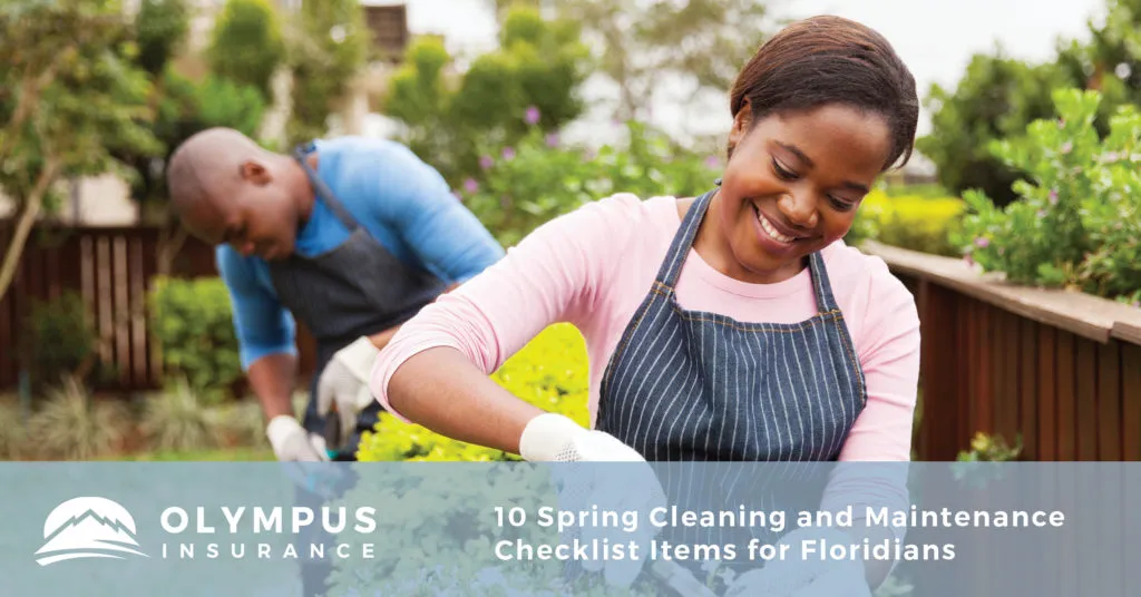 10 Spring Cleaning and Maintenance Checklist Items for Floridians ...