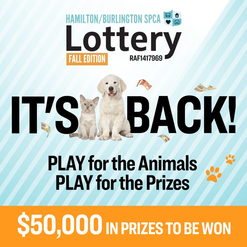 Hamilton/Burlington SPCA | An Animal Welfare Charity