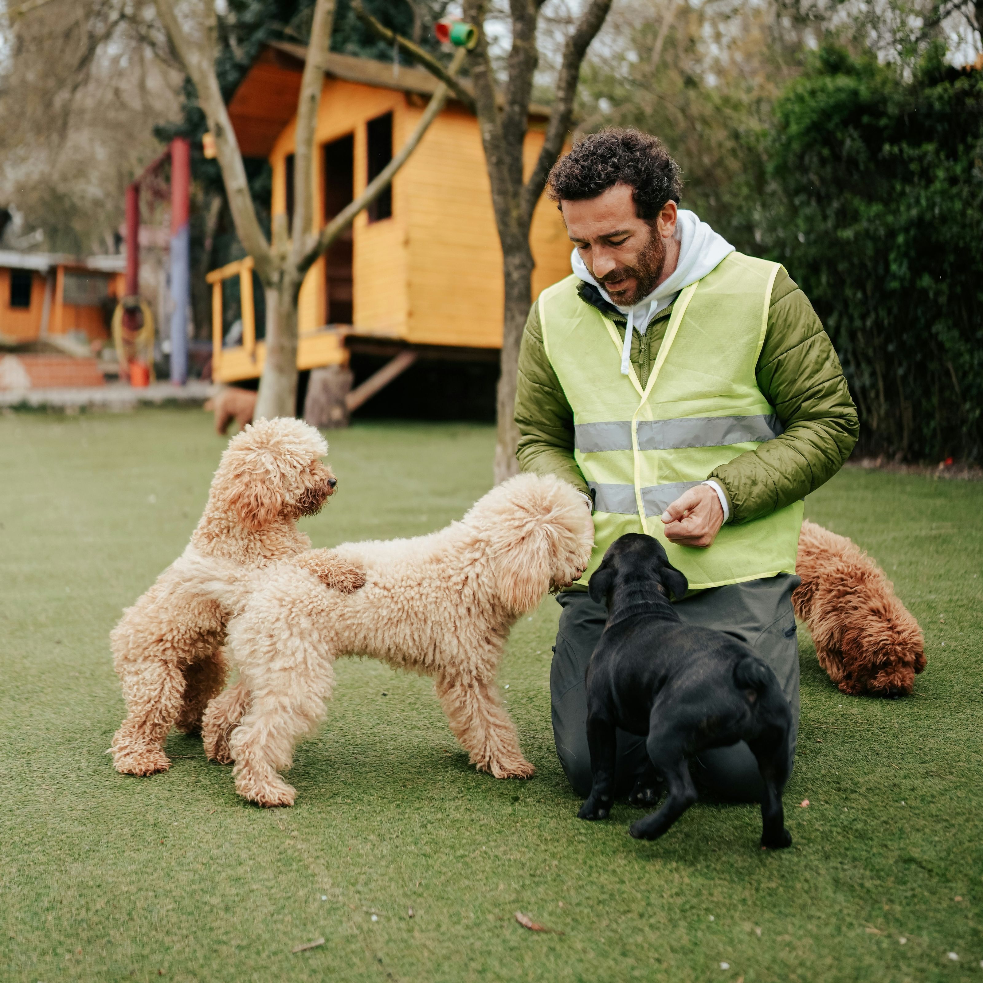 Hamilton/Burlington SPCA | An Animal Welfare Charity