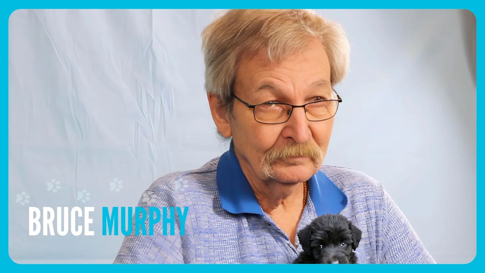 Volunteer | Hamilton/Burlington SPCA