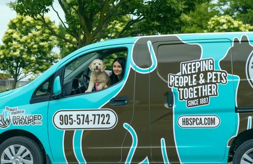 Hamilton/Burlington SPCA | An Animal Welfare Charity