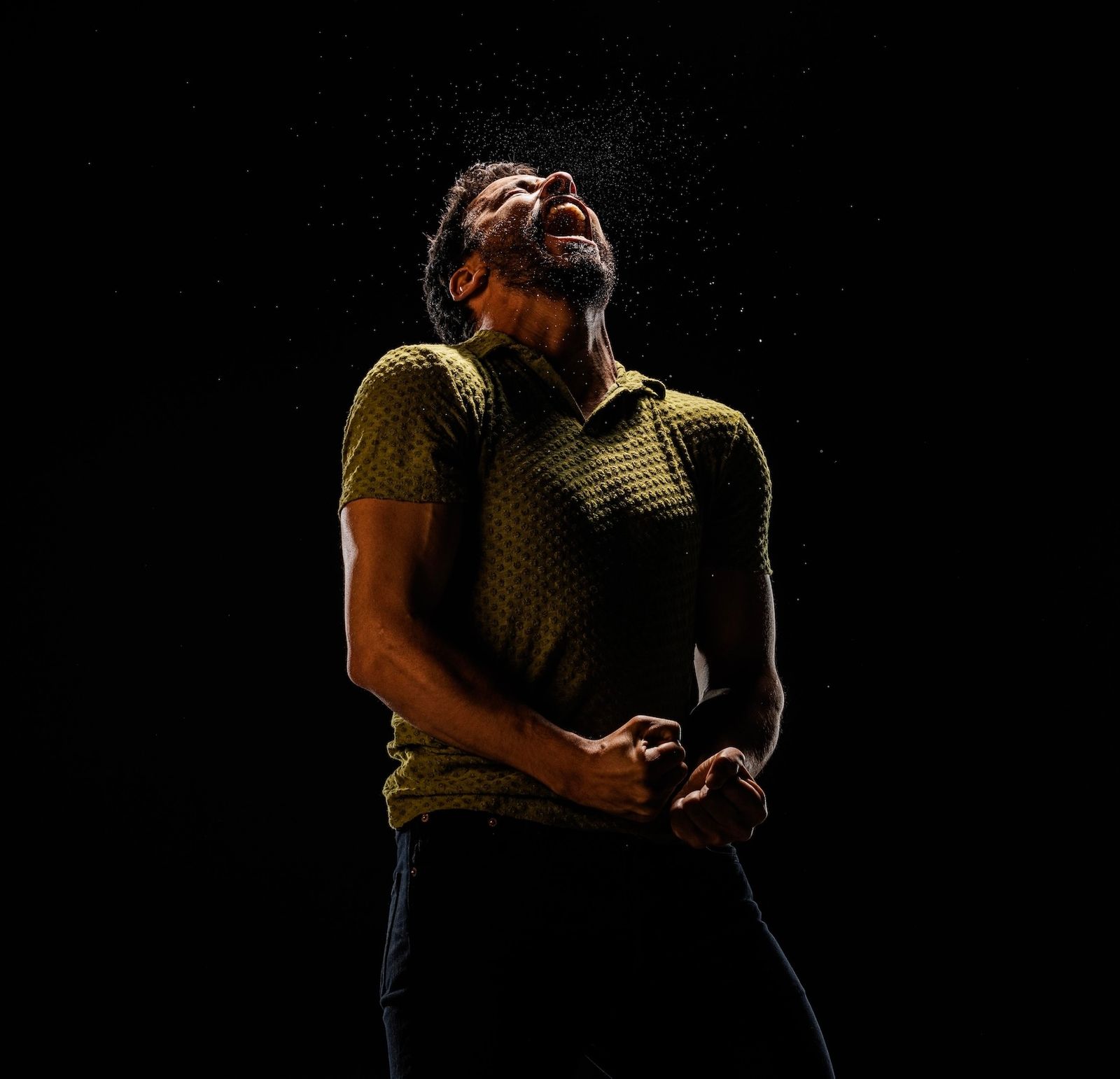 Biography - Alaa Safi