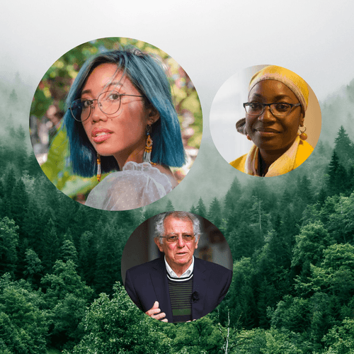 What we do | Climate Crisis Advisory Group