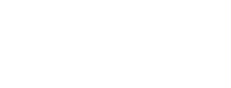 KIP Protocol: Award Winning Web3 Base Layer for AI - Backed by Animoca