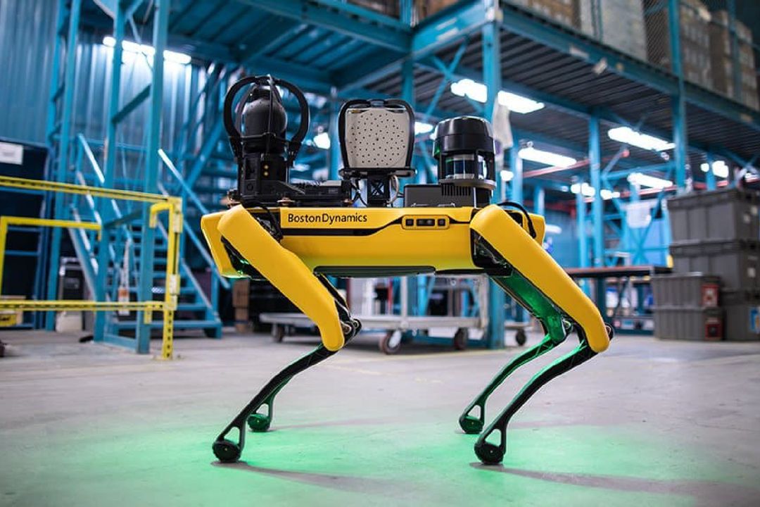 Moozoom | Une application pour aider les enfants