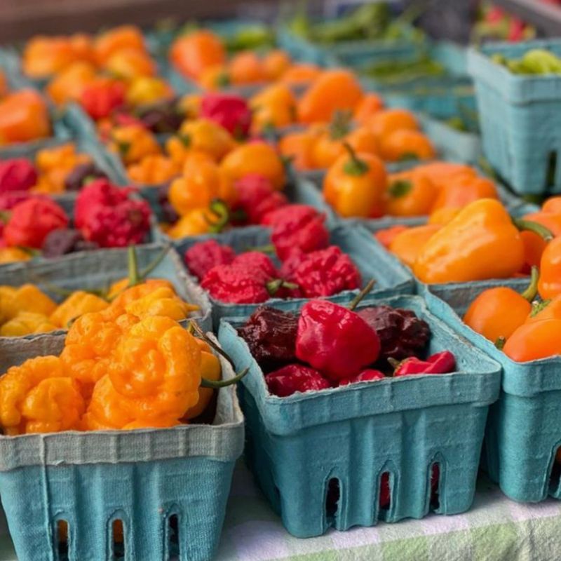 Deep Roots Farm | Upper Marlboro, MD