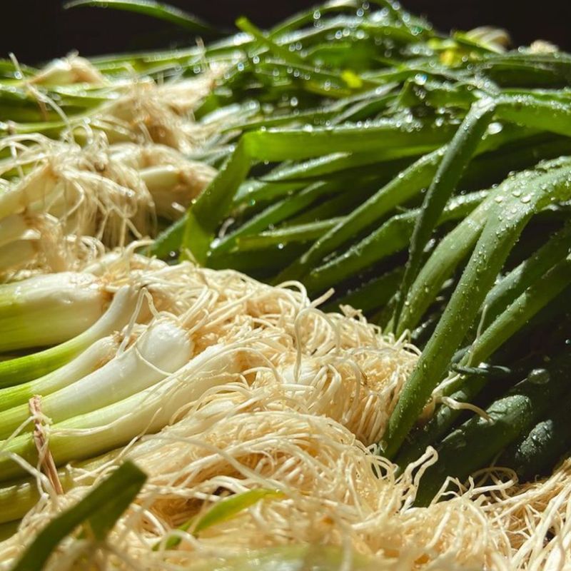 Deep Roots Farm | Upper Marlboro, MD