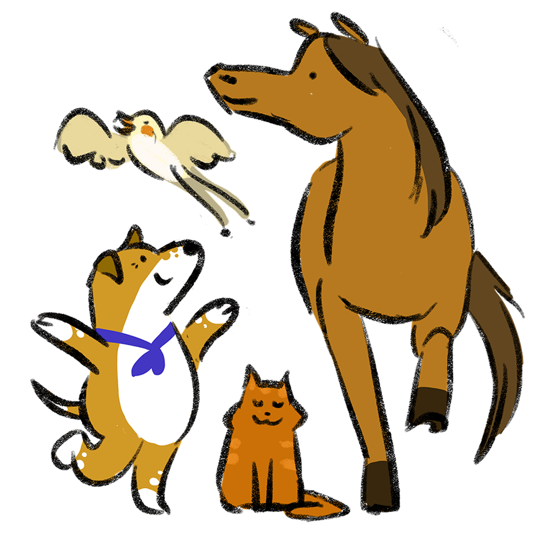 ScribbleVet | AI digital scribe for busy veterinarians