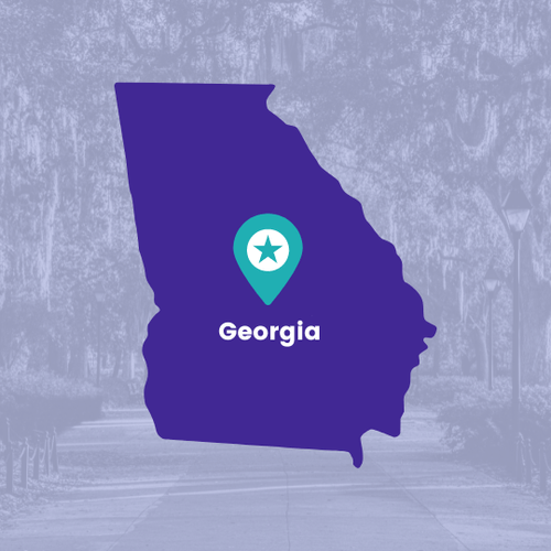 Georgia Veterinary License Guide: Requirements & Application