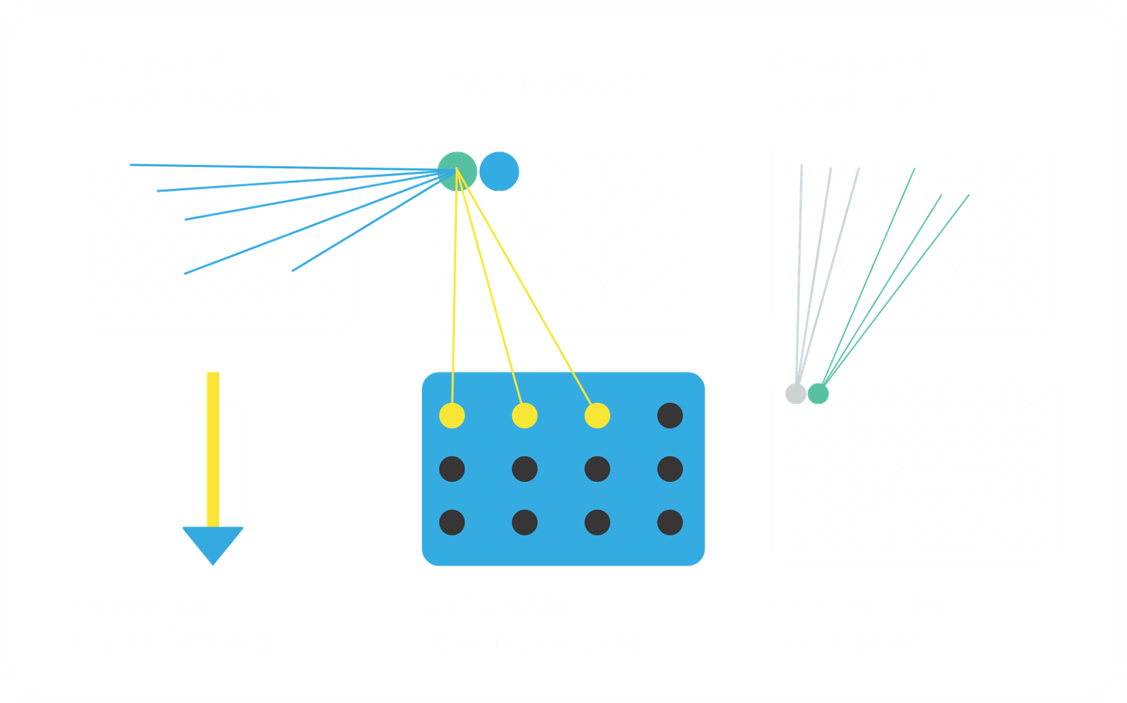 Parhelia Bio — Automating Spatial Biology with Pushbutton Precision.