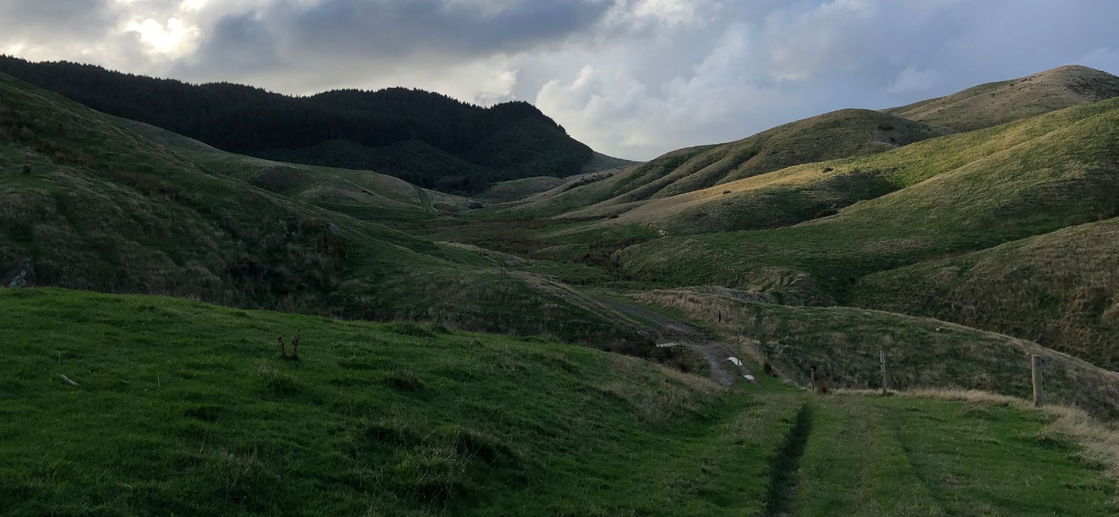 Upper Stebbings Valley Masterplan | Wellington