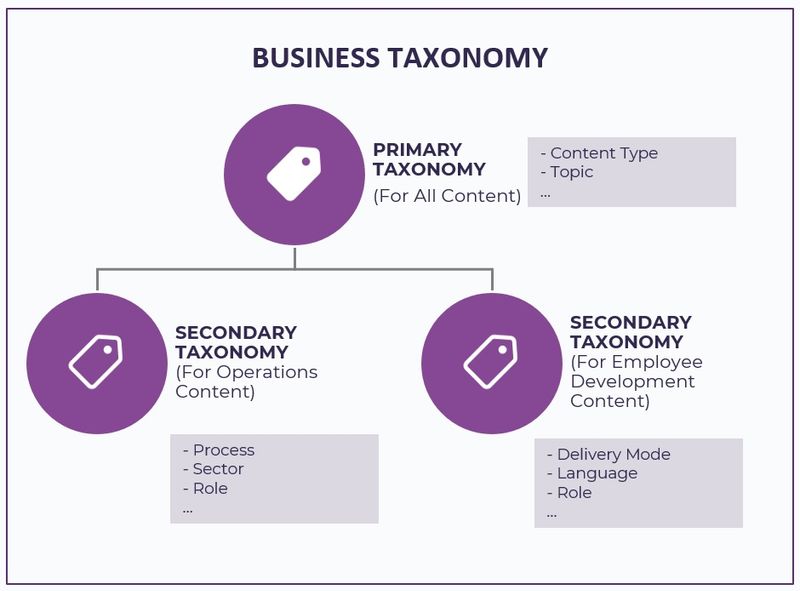 CKS Business Taxonomy and Ontology E-Learning