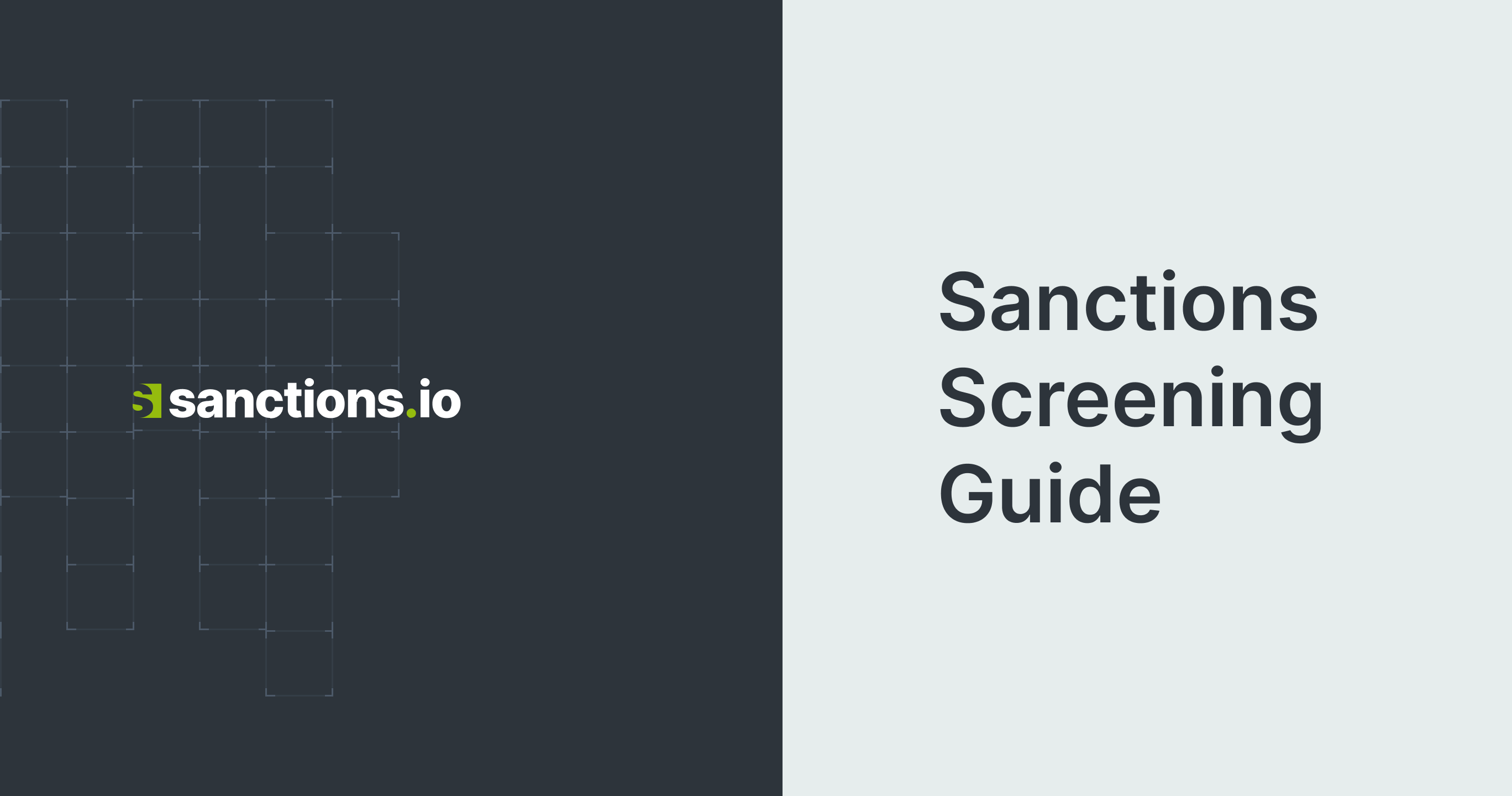 Sanctions Screening Guide