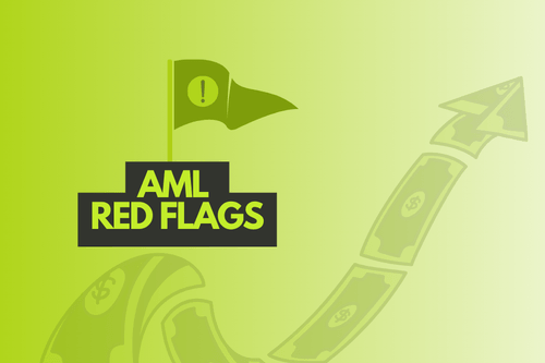 Understanding AML Red Flags and Suspicious Transactions | sanctions.io