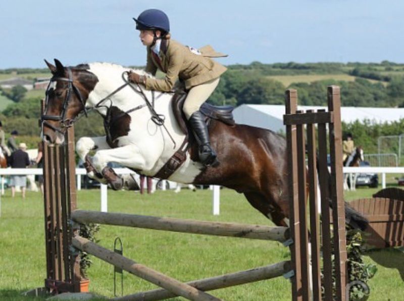 What's On at Stithians | Stithians Show