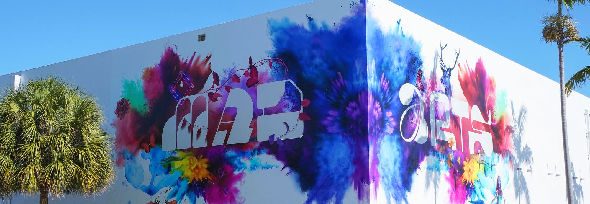 Visit Us | Mad Arts | Immersive Art Museum in Dania Beach