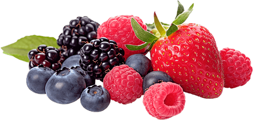 PureBerry Açai Bowls: Organic Açaí Bowls for All Tastes