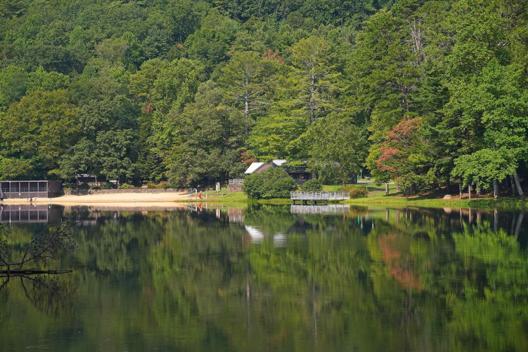 At-Home ABA Therapy In Garfield, Georgia | Treetop ABA