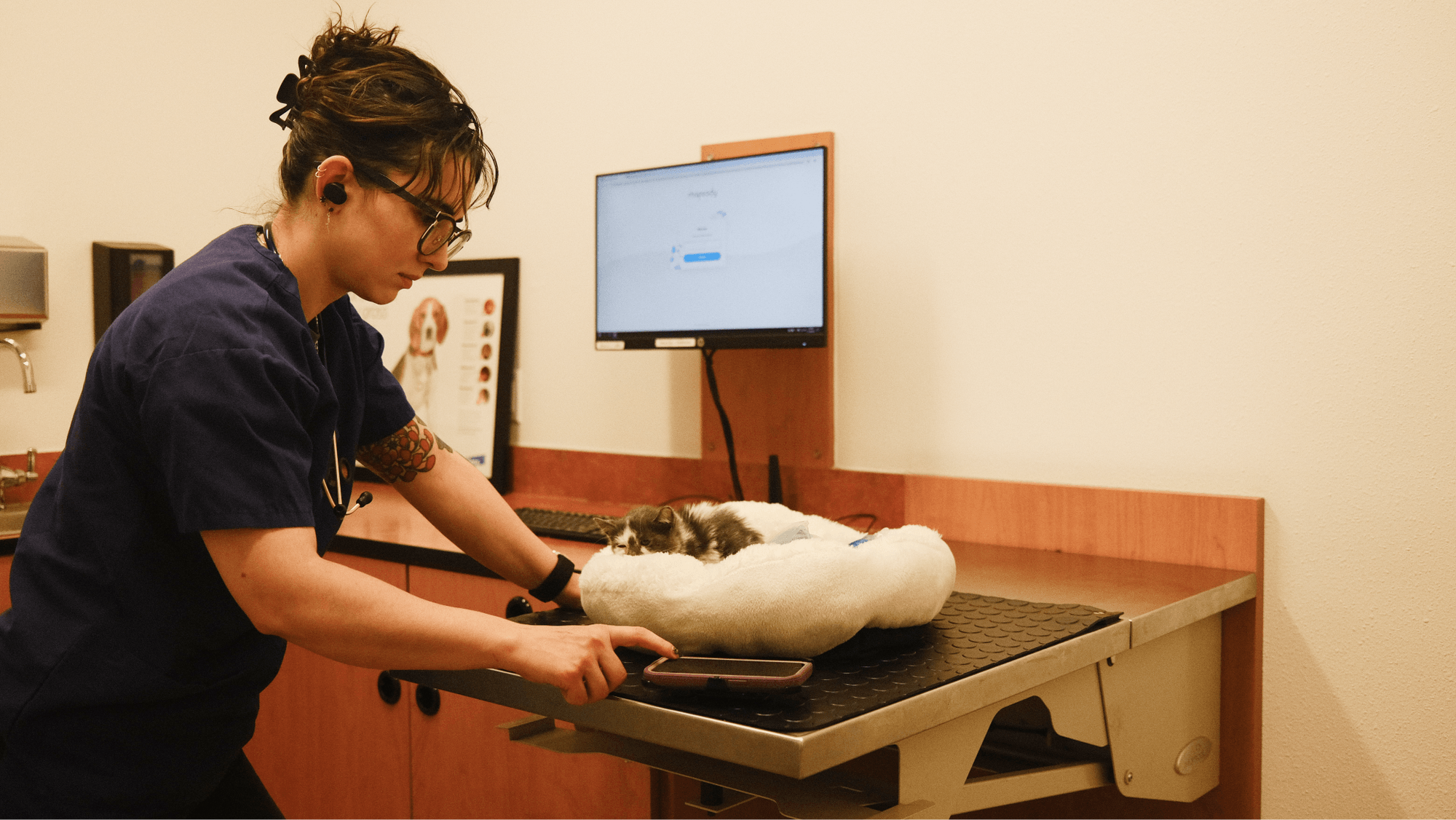 Setting up the right workflow with a veterinary AI scribe