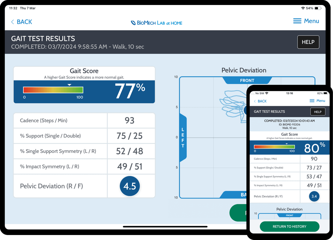 Biomech - Motion, the process common to everything