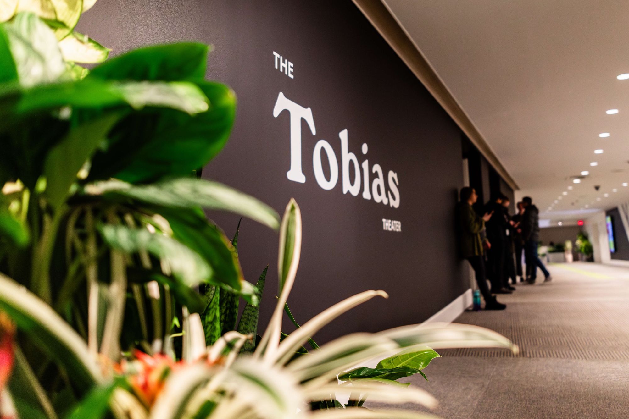 Home | The Tobias Theater