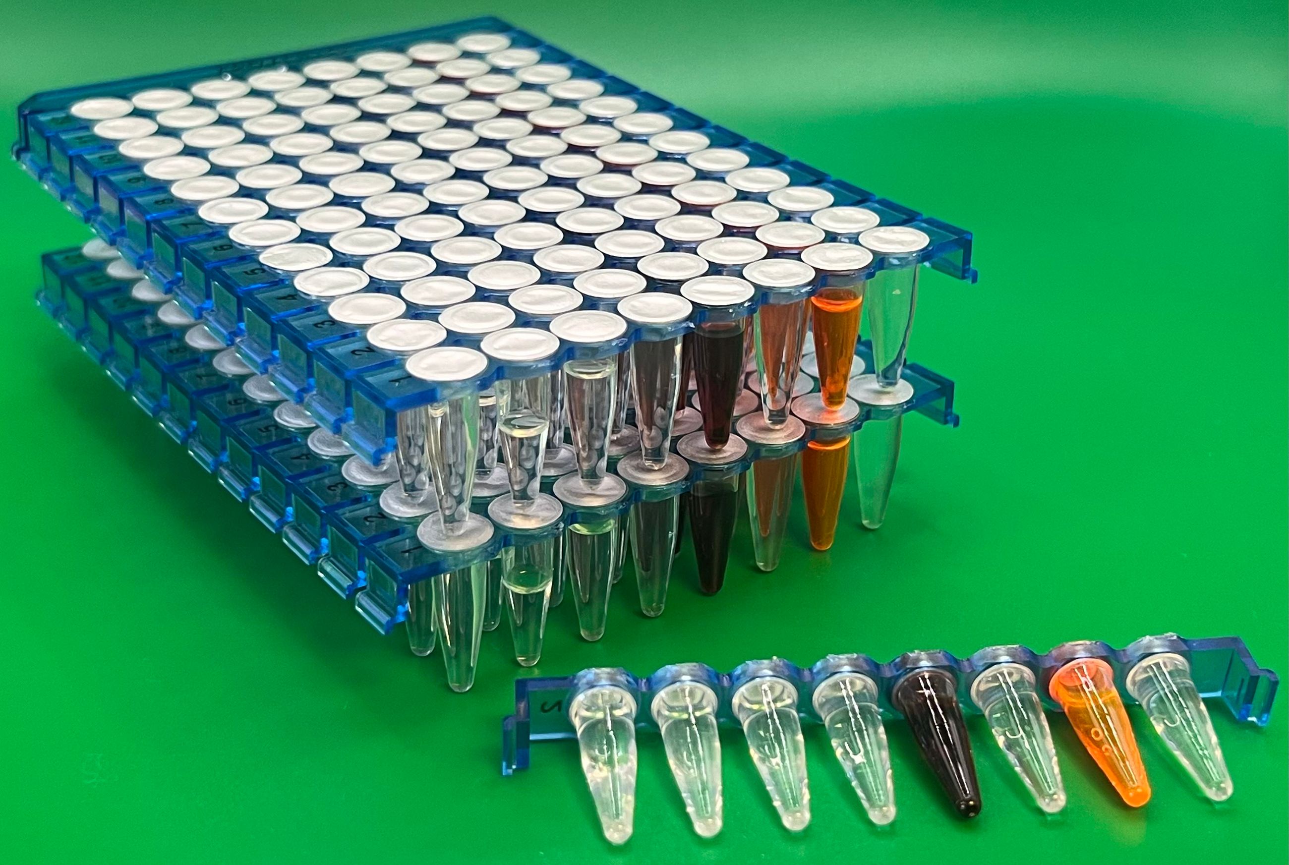 Parhelia Bio — Automating Spatial Biology with Pushbutton Precision.
