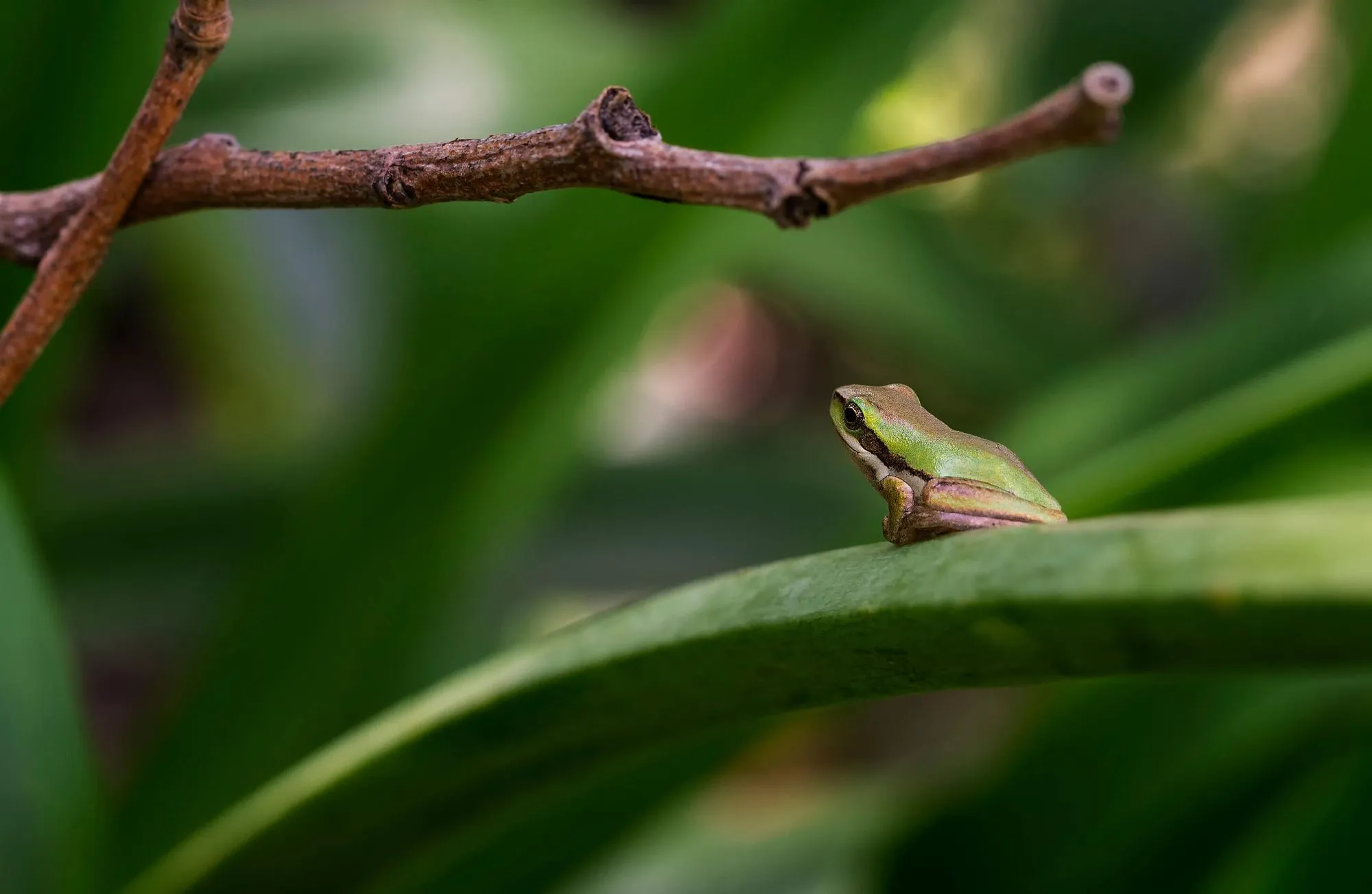Hunter Wetlands Centre | Newcastle NSW