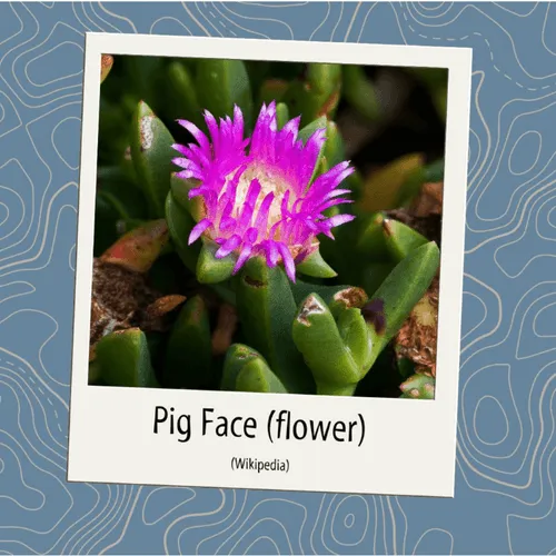 Hunter Wetlands Centre | Newcastle NSW