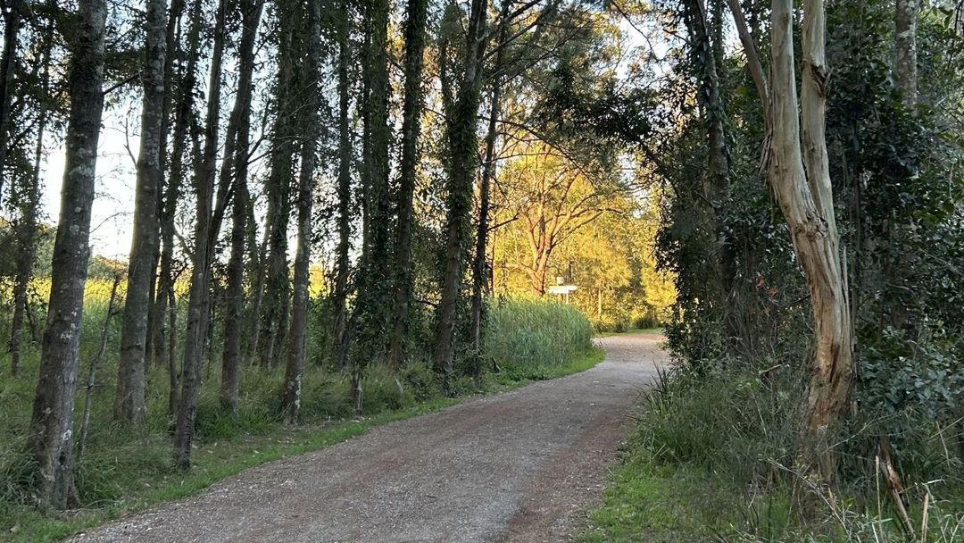 Hunter Wetlands - Experiences | Newcastle NSW