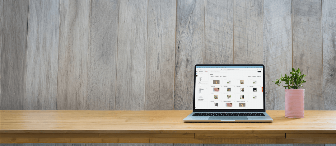 What Are Marketing Assets? Types, Examples, and How to Manage Them