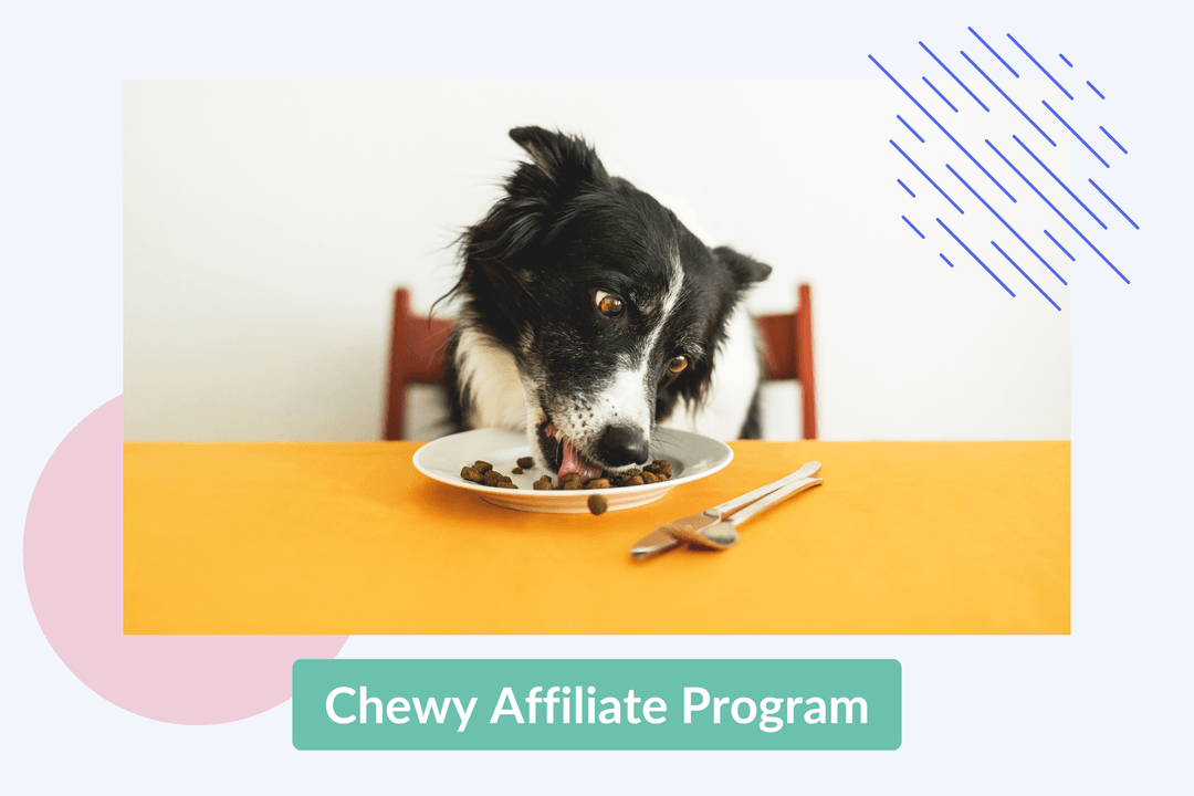 Chewy Affiliate Program: In-Depth Review, Pros, and Cons
