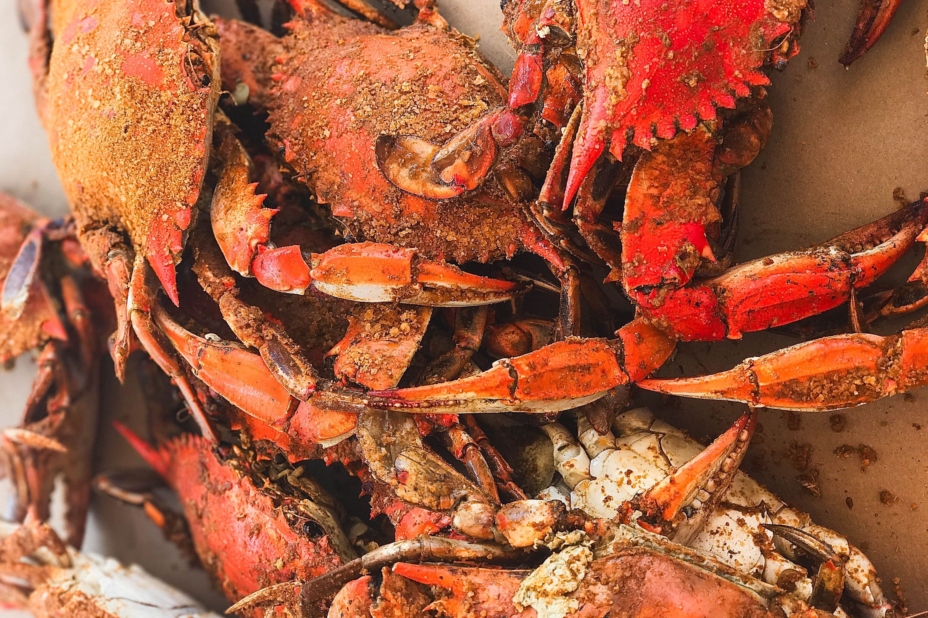 Discover Hanover | Hanover PA Dining Guide