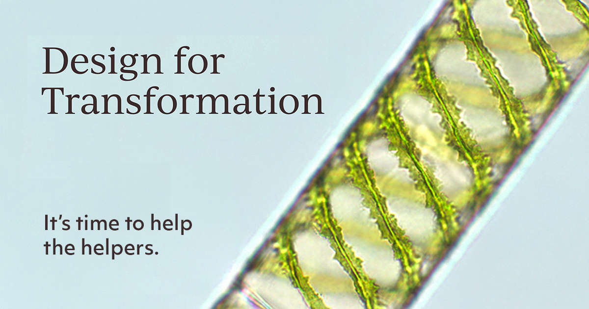 The Nature of Fashion: Design for Transformation - The Biomimicry Institute