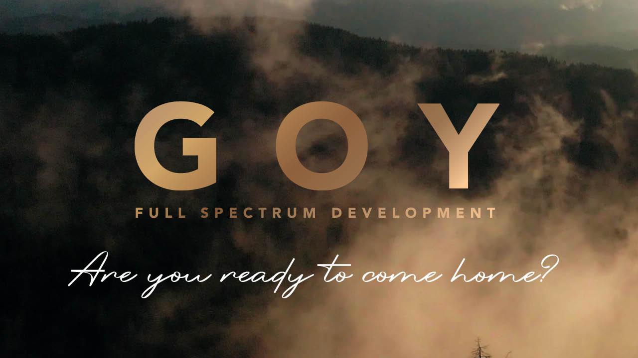 Goy Group