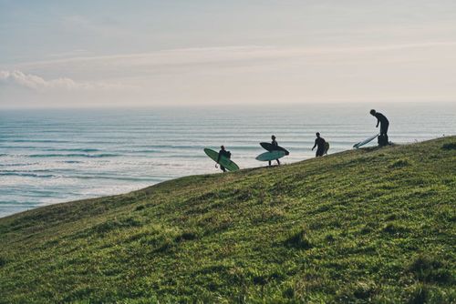 Vicar's Field Campsite - Bosherston, Pembrokeshire