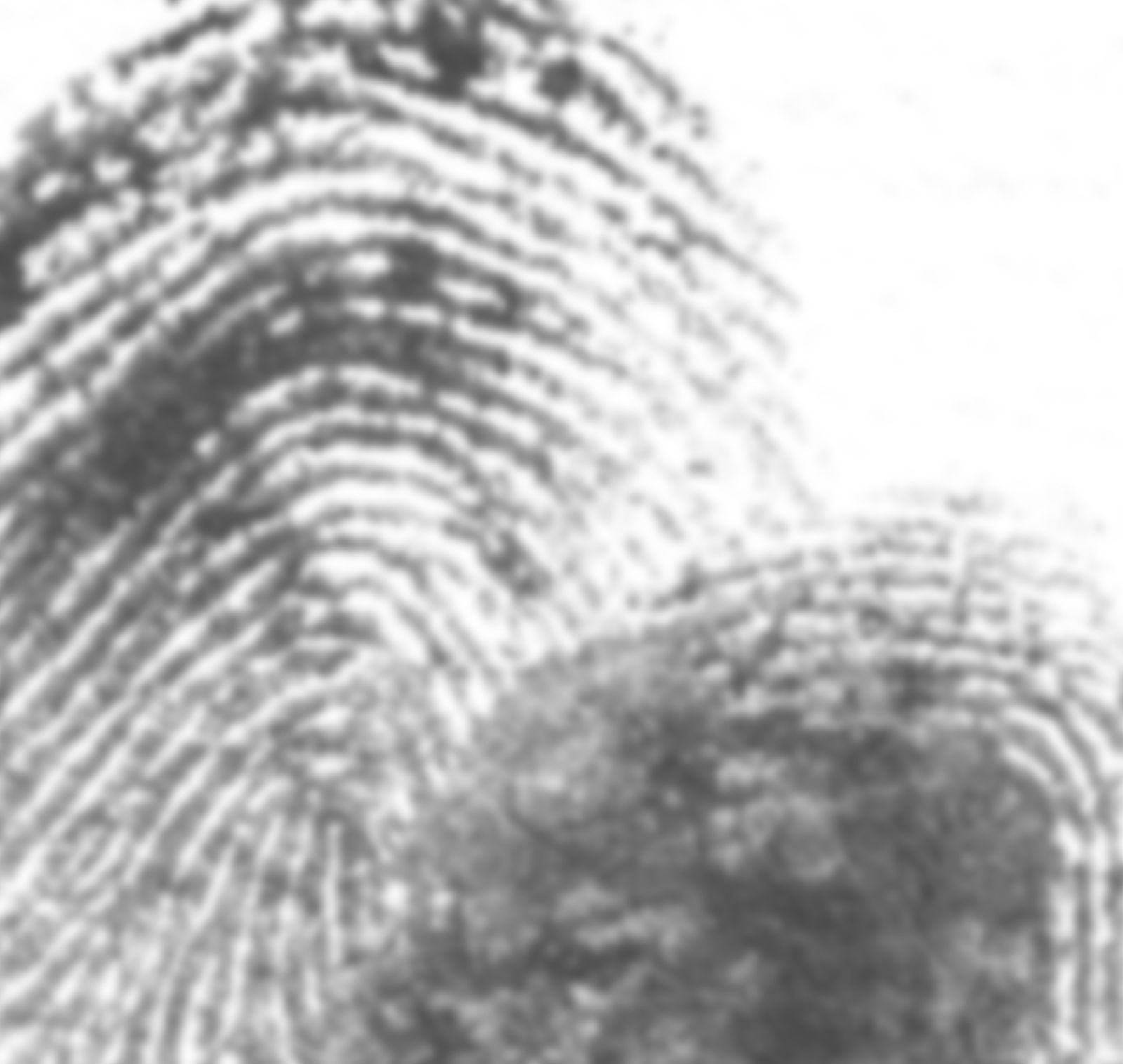 Databases, Biometrics, and Gang Database