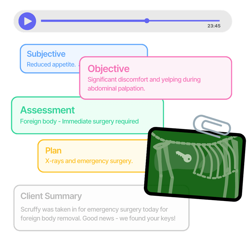 Scribenote | Veterinarian AI Scribe App and Software