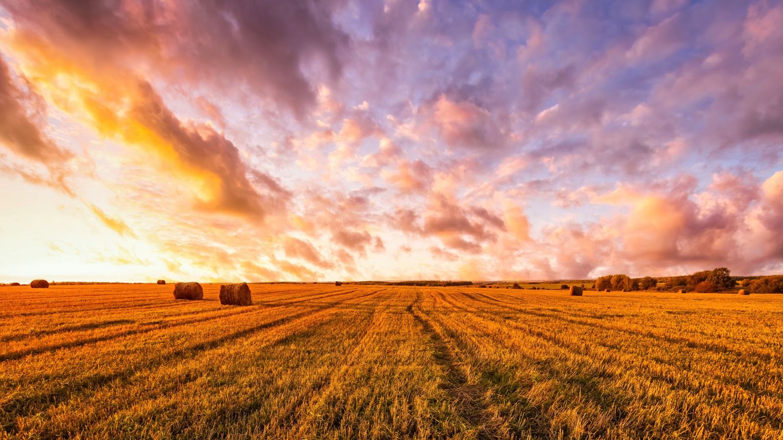 Enhanced Drainage Ditch Management for Nutrient Transport Reduction ...