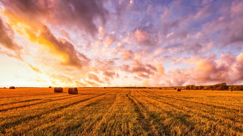 Buy-Nutrient-Credits