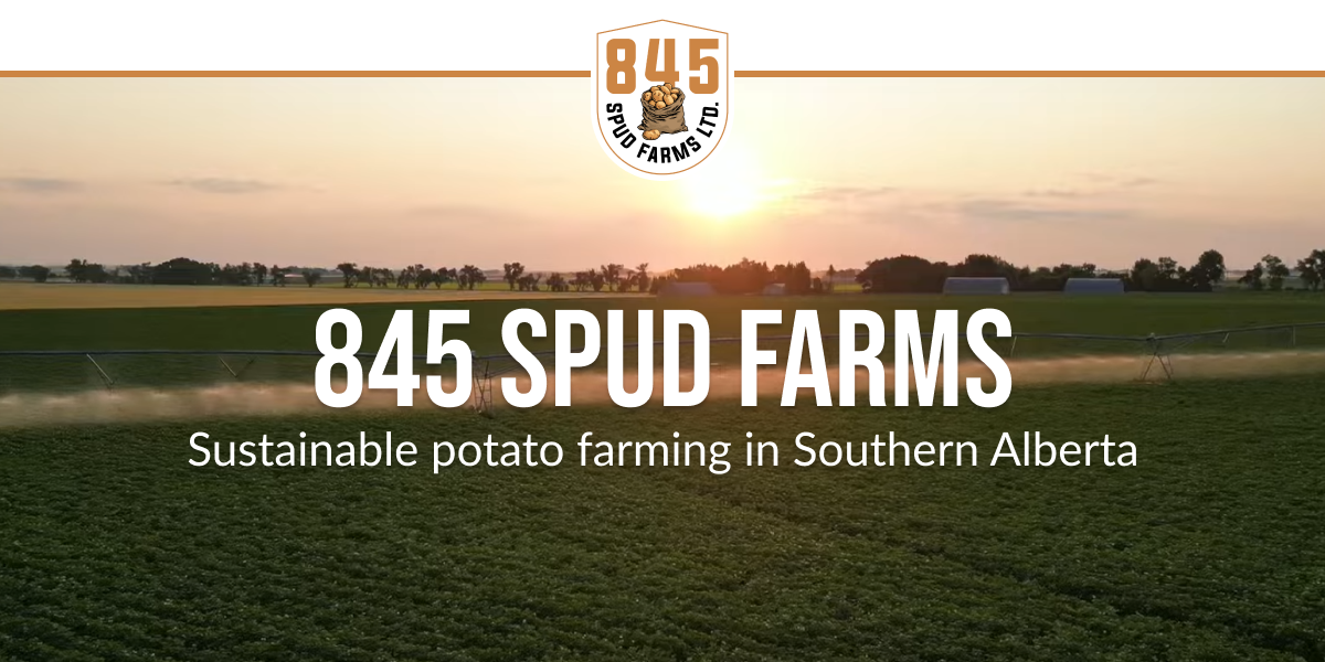 845 Spud Farms Ltd. | Southern Alberta Potato Farm