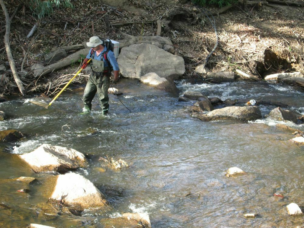 NFRS — Ovens Demonstration Reach