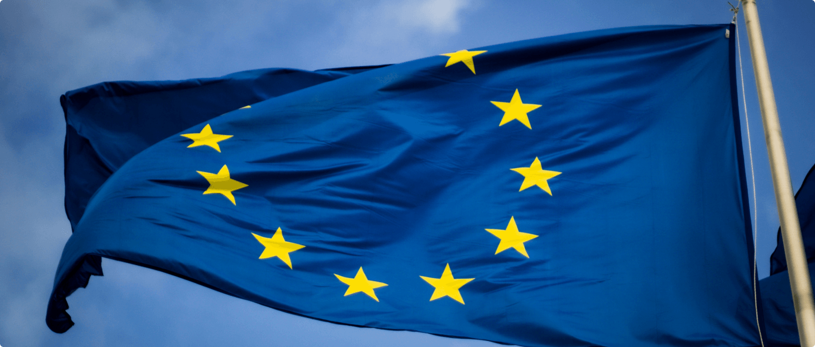 FIECON | Leaders in Health Economics