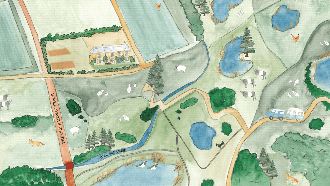 Low Hedgeley | Caravan Park and Campsite in Northumberland