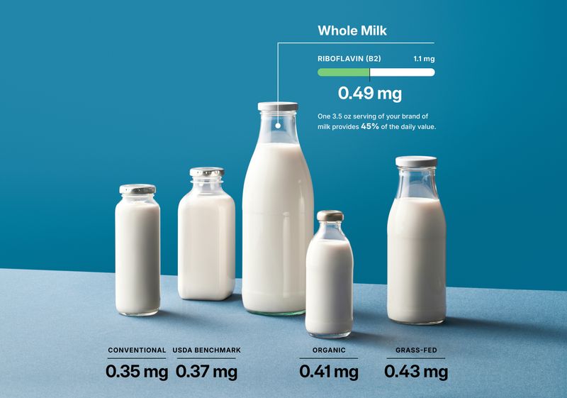 Edacious | Food Lab & Nutrition Software