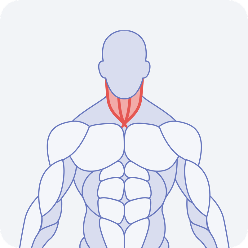 Sternocleidomastoid Exercises for Neck Pain Relief and Strength