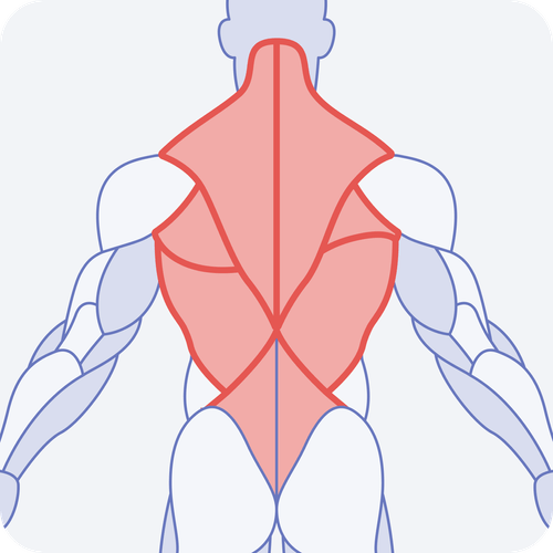 Back Pain Location and Diagnosis Chart: Understanding Symptoms and Causes