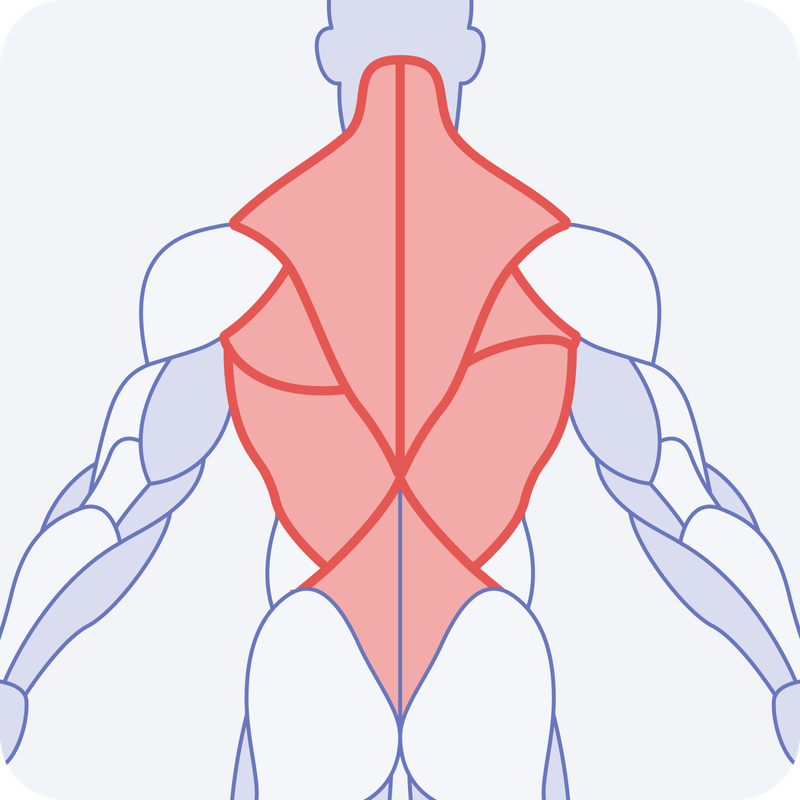 Medrol Dose Pack for Back Pain How Fast Does It Work