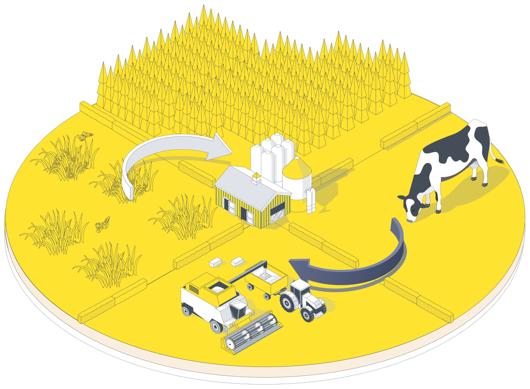 Regenerative Farming Projects for Soil Carbon Sequestration | One ...